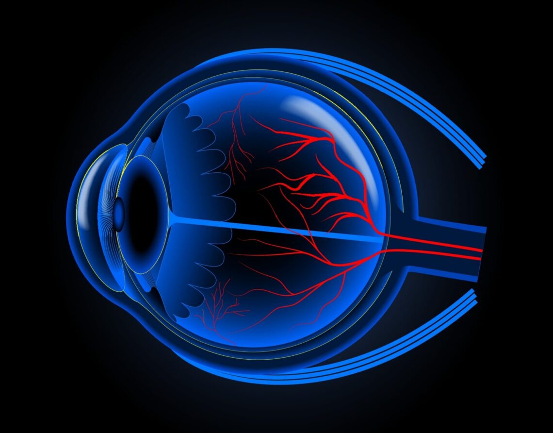 Oftalmologia - Atrofia Geográfica da Macula: Novos tratamentos, sistema ...